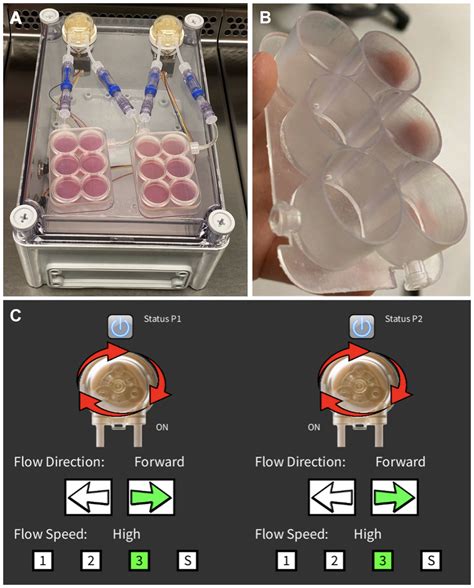 Perfusion Bioreactor System Overview A Perfusion Bioreactor B