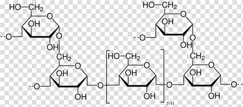 Glycogen Structural Formula