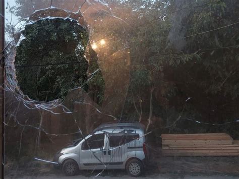 Свободен Глас