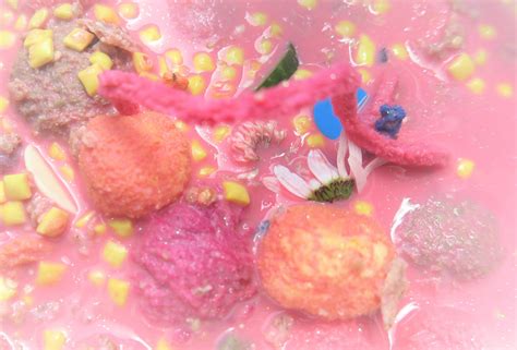 My Perspective Photography Competition Downs Syndrome Association