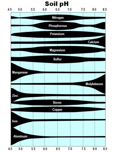 Lime Nutrient Availability Chart