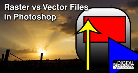 Raster Vs Vector Files The DIGITAL Process