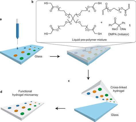 General Procedure For The Fabrication Of Hydrogel Microarrays Using Download Scientific Diagram