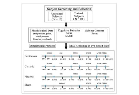 Methodology Depicting Different Conditions And Auditory Cues At Varying Download Scientific
