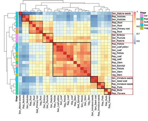 Figure 1 From The Rna Seq Based High Resolution Gene Expression Atlas Of Chickpea Cicer