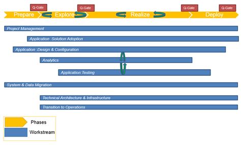 Manage Your Sap Projects With Sap Activate Business And Other Paperback