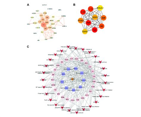 PPI Network Analysis A PPI Network Analysis Of 32 Intersecting Download Scientific Diagram