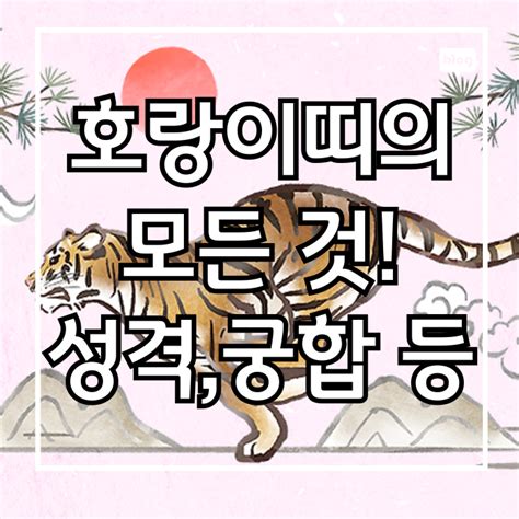 호랑이띠 돼지띠 궁합 호랑이띠 안맞는 띠 성격 궁합 성공 비결 무료사주 보기