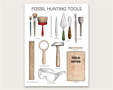 Fossil Hunting Tools Art Print Etsy