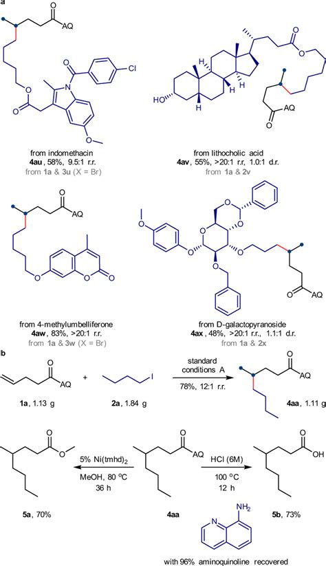 Synthetic Applications A Late Stage Functionalization Of Biorelevant