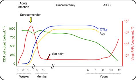 Hiv Antibodies Graph At Joy Mullen Blog