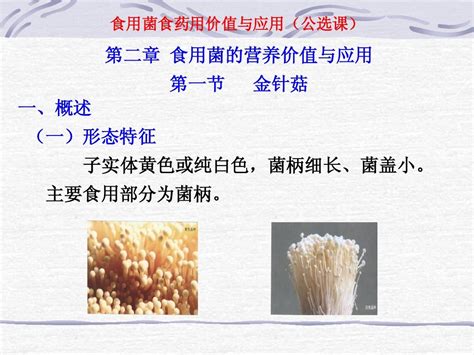食用菌药用价值课件 第一节 金针菇word文档在线阅读与下载无忧文档