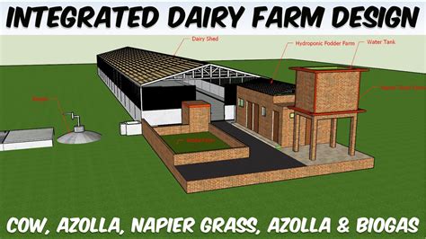 Integrated Dairy Farming Model Design Discover Agriculture