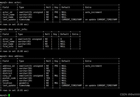 数据库导入sakila 的模式脚本和数据脚本创建sakila数据库并导入数据 Csdn博客