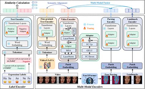 Finecliper Multi Modal Fine Grained Clip For Dynamic Facial Expression Recognition With Adapters