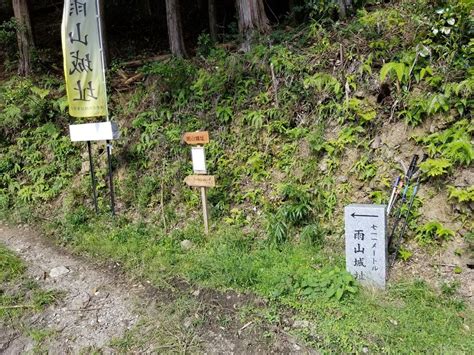 三河雨山城の解説織田と今川の境目の城雨山の戦い お城解説日本全国1300情報城旅人