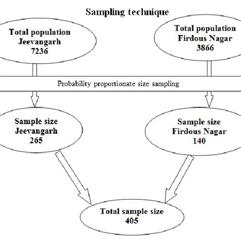 Sampling Technique Used In The Study Download Scientific Diagram