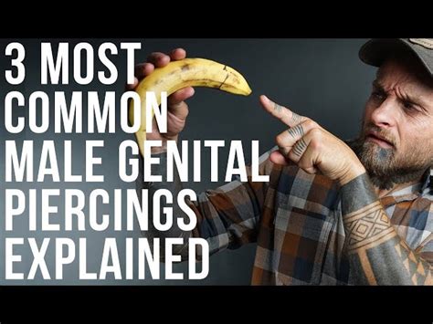 Genital Piercing Chart Male