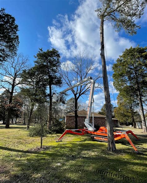 Tree Trimming Pruning