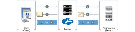 인터넷 보안 강화를 위한 암호화 트래픽 가시성 확보 Zscaler의 Ssl Inspection 인사이트리포트 삼성sds