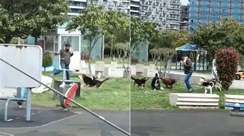 ვიდეო “აი ეს ხდება იქ სადაც უამრავი ბავშვია “ ახალგაზრდა კაცს რომელიც შვილისთვის საჭმლის