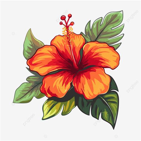 무료 하와이 꽃 벡터 잎이 있는 히비스커스 꽃의 스티커 클립 아트 만화 이미지 상표 클립 아트 Png 일러스트 및 벡터 에 대한 무료 다운로드 Pngtree