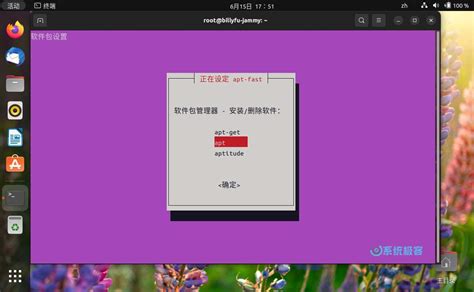 如何在 Ubuntu 中安装配置和使用 APT Fast 系统极客