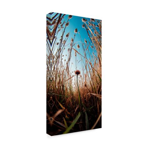 Ebern Designs Decent Exposures Daydream Canvas Art Wayfair