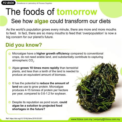 Suhail Shoaib On Linkedin Microalgae Is Rich In Protein Amino Acids Fatty Acids And Vitamins…