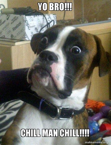Yo Bro Chill Man Chill Skeptical Dog Meme Generator