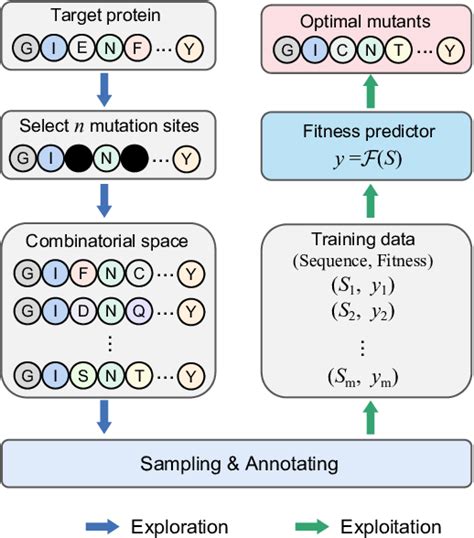 The Paradigm Of The Machine Learning Assisted Directed Evolution Method Download Scientific