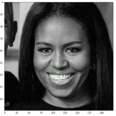 Facial Keypoint Tracker Trevor C