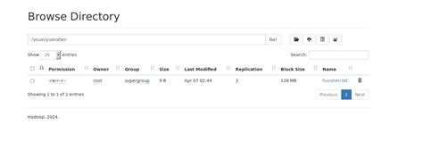 Hadoop配置文件配置hadoop文件 Csdn博客