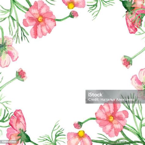 수채화 배너 흰색 배경에 고립 된 바늘 잎 녹색 줄기에 섬세 한 핑크 꽃 손으로 그린 청첩장 인사장의 우아한 디자인에 대 한