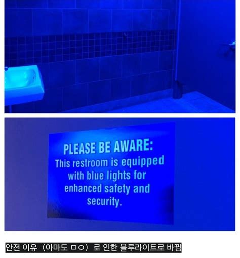 너네 이거 봤어 미국 공중화장실에 파란색 조명을 설치하는 이유 Daum 카페