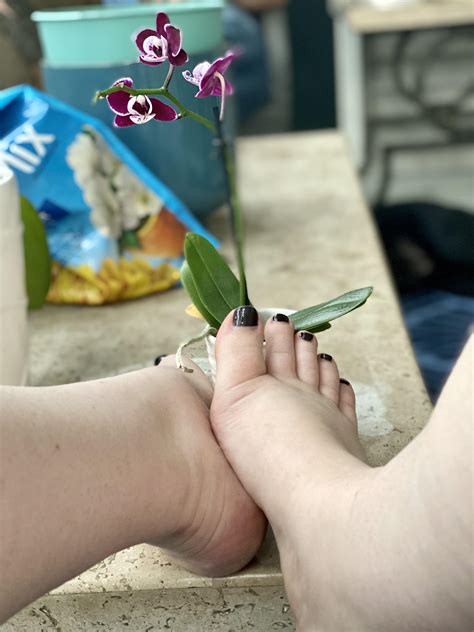 Whats Better Toes Or Flower R Foottalk