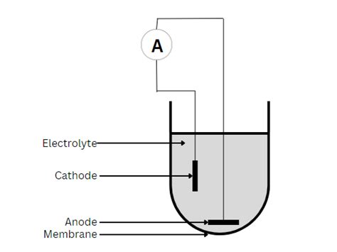 dissolved oxygen measurement alpha measure