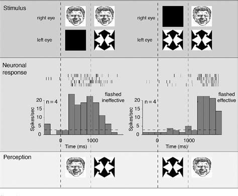 Figure 8 1 From Visual Cognitive Adventures Of Single Neurons In The Human Medial Temporal Lobe