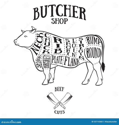 Butcher Cuts Scheme Of Beef Stock Vector Illustration Of Barbecue Brisket 55714360
