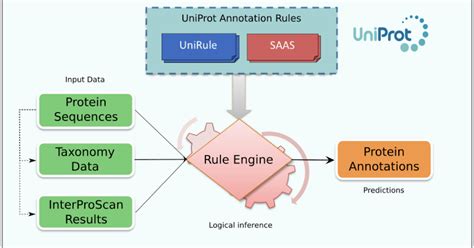 Inside Uniprot Would You Like To Annotate Function With Uniprot S