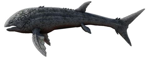 Leedsichthys Render By Makeshiftnapkin On Deviantart