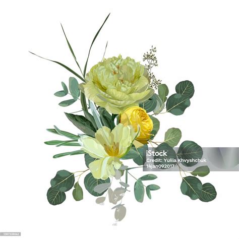 꽃 꽃다발 디자인 정원 노란색 로즈 왁스 꽃 모란 튤립 유칼립투스 가지 녹지 잎 웨딩 초대 카드 수채화 디자이너 요소 세트 0명에 대한 스톡 벡터 아트 및 기타 이미지