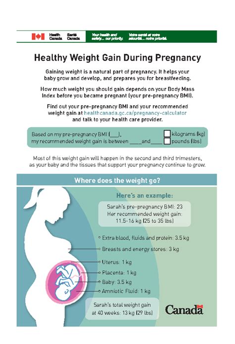 Pregnancy Bmi Chart