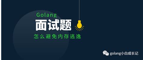 go 面试题：怎么避免内存逃逸？ csdn博客