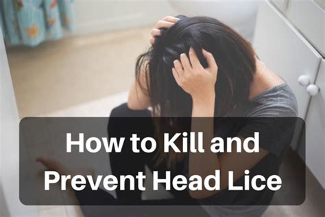 A Comprehensive And Easy Guide To Prevent And Kill Head Lice RemedyGrove