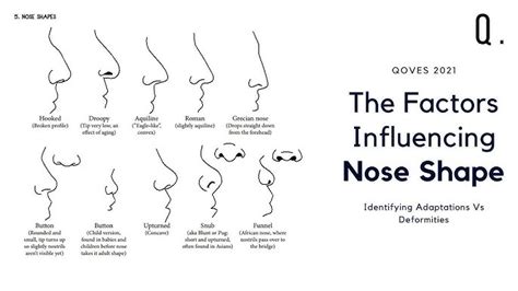 Different Types Of Nose Shapes