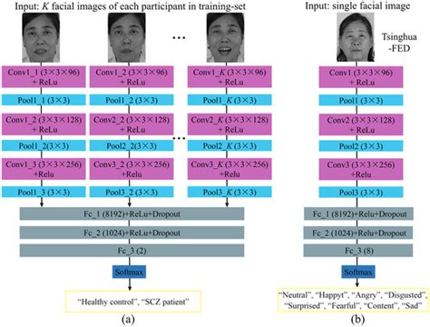 Architectures Of A C‐cnn And B Fe‐cnn Relu Dropout And Softmax