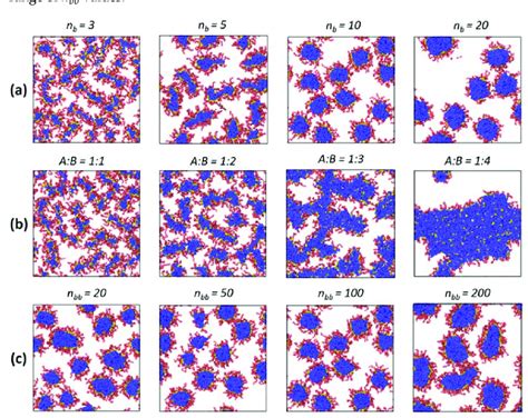 Top Views Of The Liquid Interface With Adsorbed Amphiphilic Download Scientific Diagram