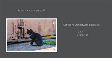 Real Time Object Detection With YOLO Datumo All In One Data Solution