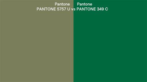 Pantone 5757 U Vs Pantone 349 C Side By Side Comparison